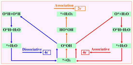 Construction of Single-Atom Catalysts for N, O Synergistic Coordination ...