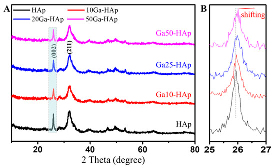 Gallium-Doped Hydroxyapatite: Shape Transformation and Osteogenesis ...