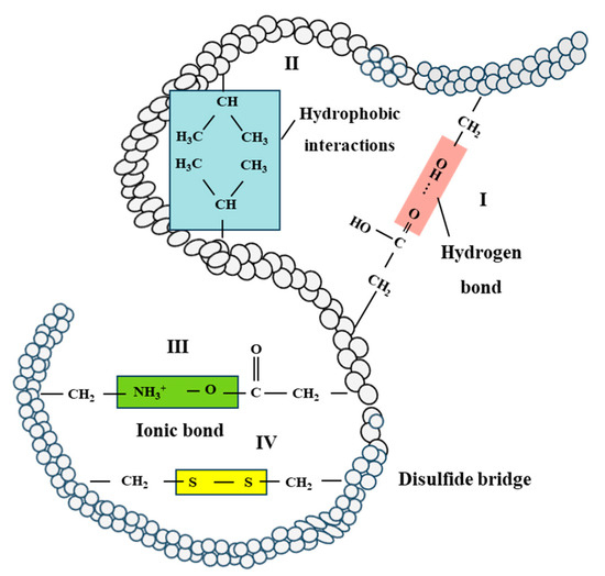 The Interactions of Soy Protein and Wheat Gluten for the Development of ...