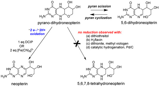 Advancing Our Understanding of Pyranopterin-Dithiolene Contributions to ...
