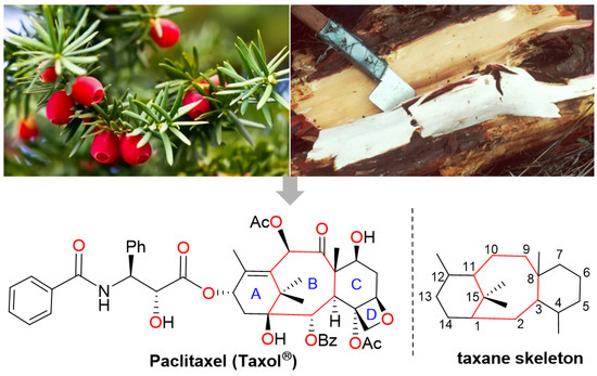Research Advances in Clinical Applications, Anticancer Mechanism, Total ...