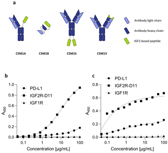 IGF2 Peptide-Based LYTACs for Targeted Degradation of Extracellular and ...