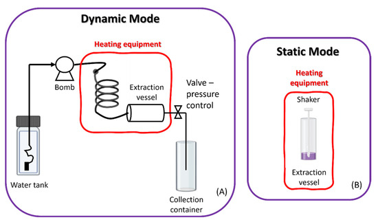 Subcritical Water Extraction to Valorize Grape Biomass—A Step Closer to ...