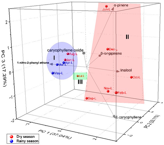 Molecules | Free Full-Text | Seasonal Variation in Essential Oil ...