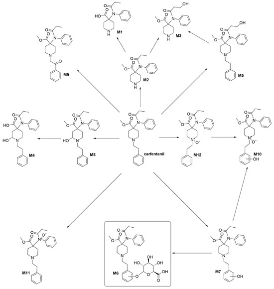 Molecules | Free Full-Text | The Synthesis of Biphasic Metabolites of ...