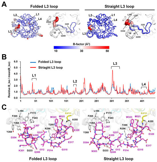 The Conformational Change of the L3 Loop Affects the Structural Changes in the Substrate Binding ...