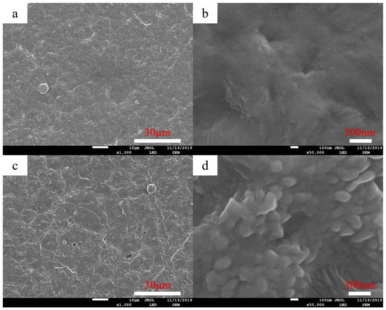 Molecules | Free Full-Text | Preparation and Self-Cleaning Performance ...