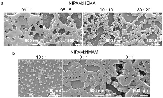 Phase Transition Behaviors of Poly(N-isopropylacrylamide) Nanogels with ...