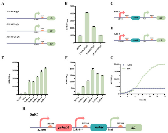 The Construction of the Self-Induced Sal System and Its Application in ...