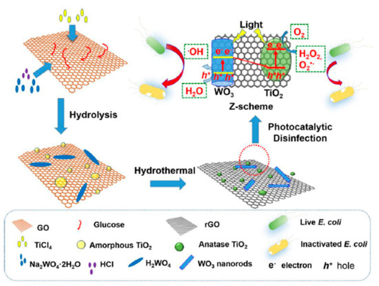 Molecules | Free Full-Text | Advanced Nanostructured Coatings Based on Doped TiO2 for Various ...