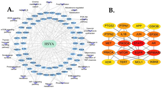 Network Analysis and Experimental Verification of the Mechanisms of ...