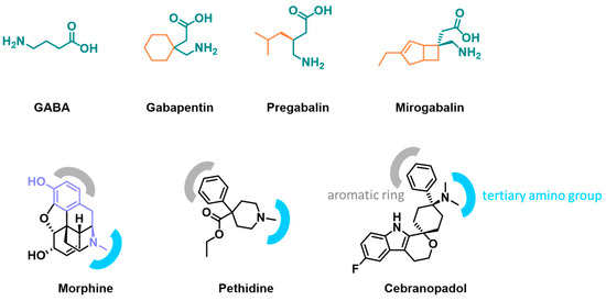 Naturally Inspired Molecules for Neuropathic Pain Inhibition—Effect of ...