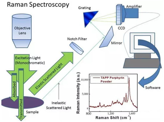 Molecules | Free Full-Text | Research Progress of Rapid Non-Destructive ...