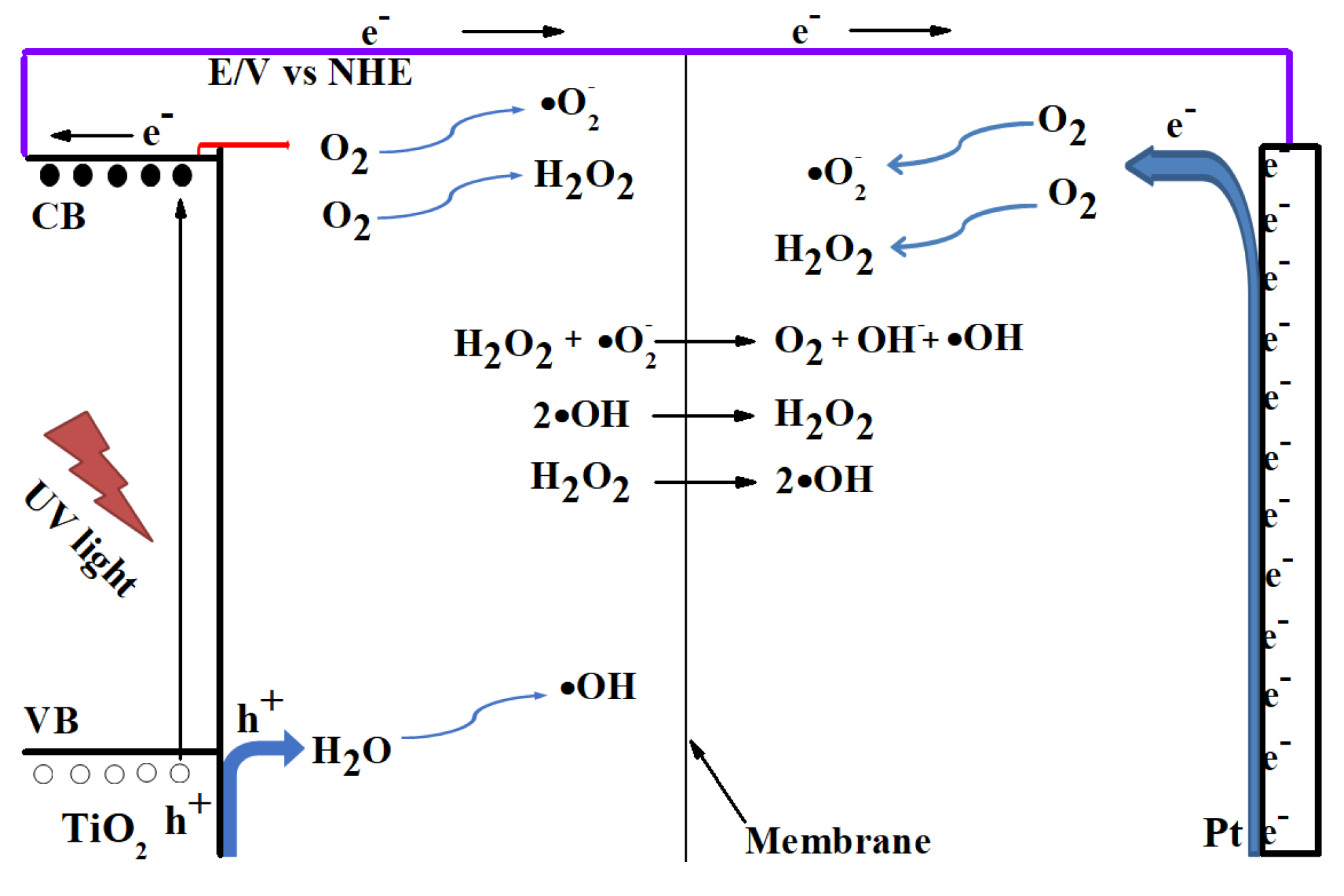Photoelectrocatalytic Processes of TiO2 Film: The Dominating Factors ...