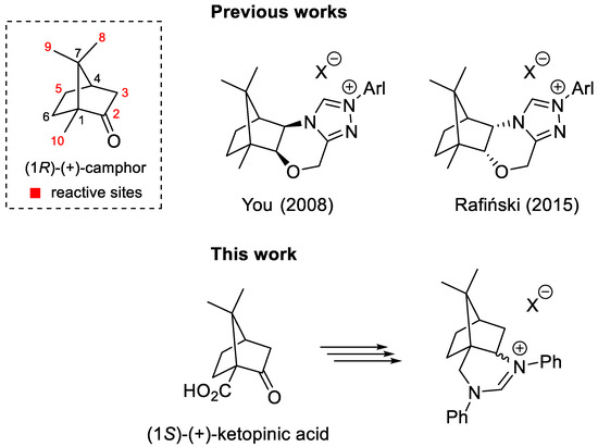 Synthesis of Six-Membered N-Heterocyclic Carbene Precursors Based on Camphor