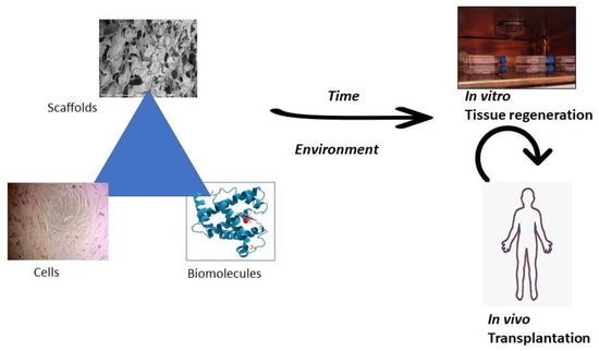 Biological Properties and Biomedical Applications of Pectin and Pectin ...