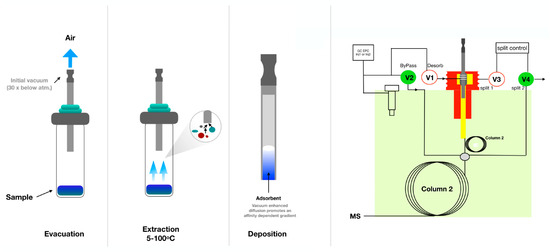 Application of Sorbent-Based Extraction Techniques in Food Analysis
