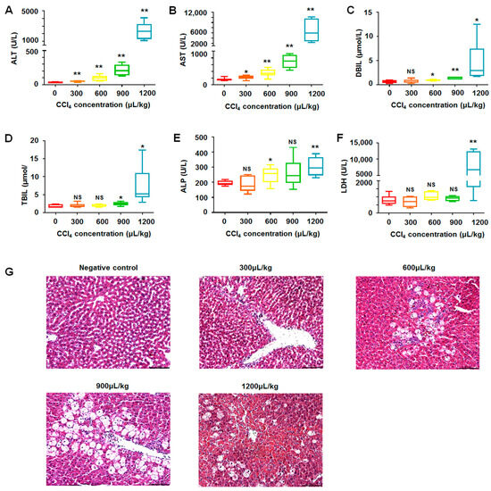 Dimethyl Bisphenolate Ameliorates Carbon Tetrachloride-Induced Liver ...