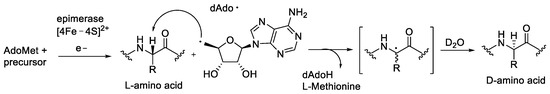 Molecules | Free Full-Text | Epimerisation in Peptide Synthesis