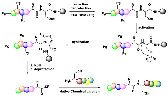 Epimerisation in Peptide Synthesis