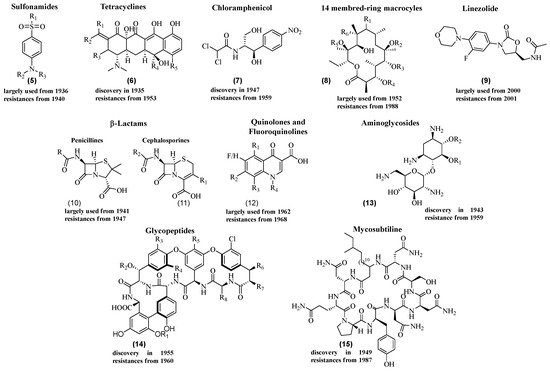 Antibiotics and Antibiotic Resistance—Mur Ligases as an Antibacterial ...