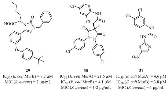 Antibiotics and Antibiotic Resistance—Mur Ligases as an Antibacterial ...