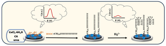 Electrochemiluminescence Sensor Based on CeO2 Nanocrystalline for Hg2 ...