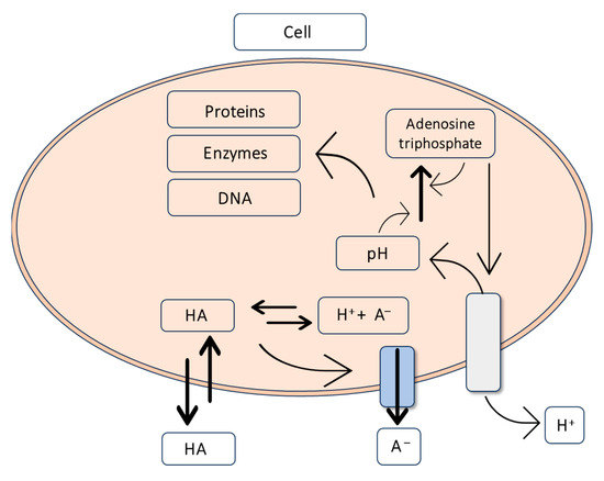 Citric Acid: Properties, Microbial Production, and Applications in ...