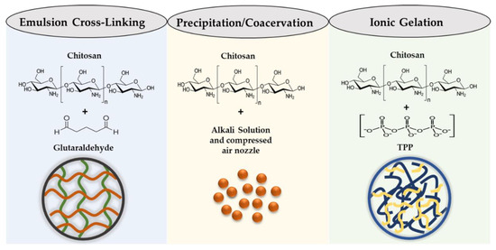 Molecules | Free Full-Text | Optimized DOX Drug Deliveries via Chitosan ...
