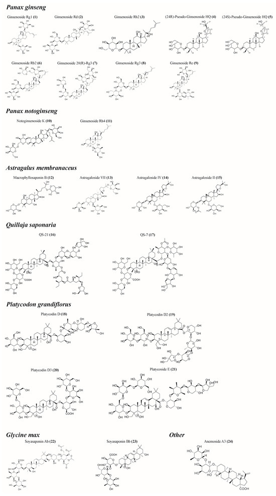 Potential Immunoregulatory Mechanism of Plant Saponins: A Review