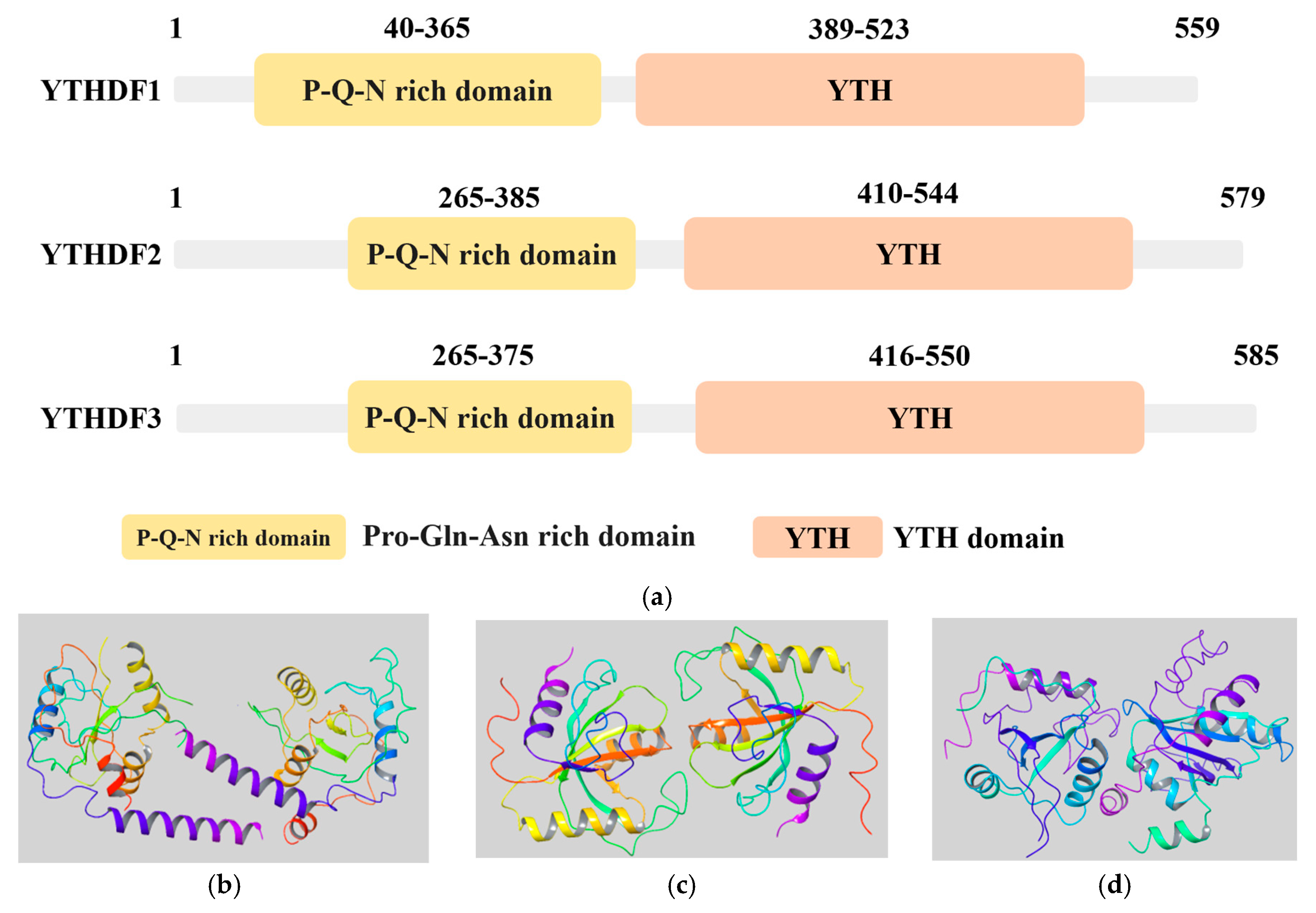 YTHDF1 in Tumor Cell Metabolism: An Updated Review