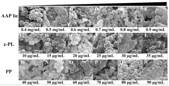 Auricularia auricula Anionic Polysaccharide Nanoparticles for ...