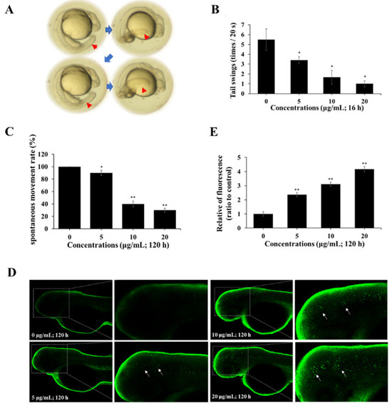 Spinetoram-Induced Potential Neurotoxicity through Autophagy Mediated ...