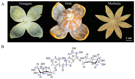 A Rare Benzothiazole Glucoside as a Derivative of ‘Albedo Bluing ...
