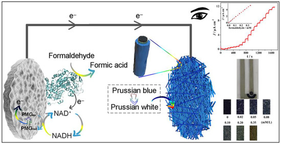 Recent Advances in Electrochemical Sensors for Formaldehyde