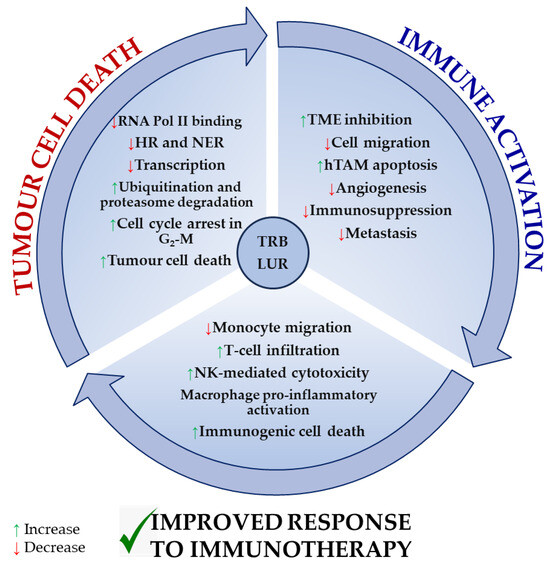 Trabectedin and Lurbinectedin Modulate the Interplay between Cells in ...