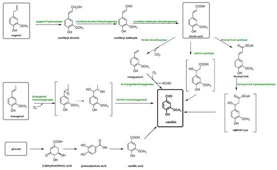 From Waste to Value: Recent Insights into Producing Vanillin from Lignin