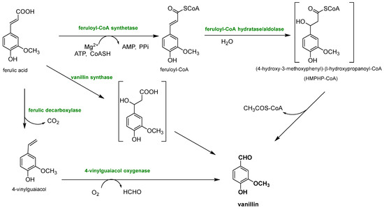 From Waste to Value: Recent Insights into Producing Vanillin from Lignin