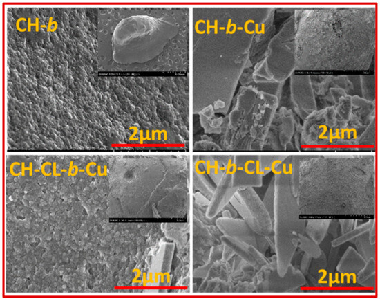 Chitosan Biocomposites with Variable Cross-Linking and Copper-Doping ...