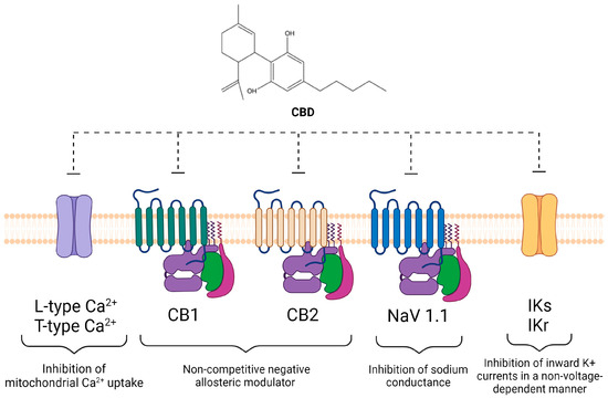 An Overview of Cannabidiol as a Multifunctional Drug: Pharmacokinetics ...