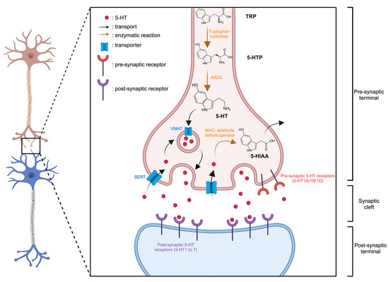 The High-Precision Liquid Chromatography with Electrochemical Detection ...