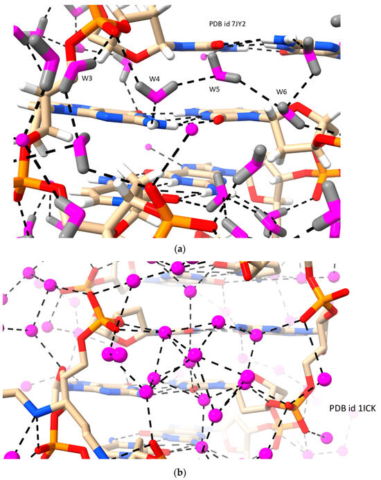 On Water Arrangements in Right- and Left-Handed DNA Structures