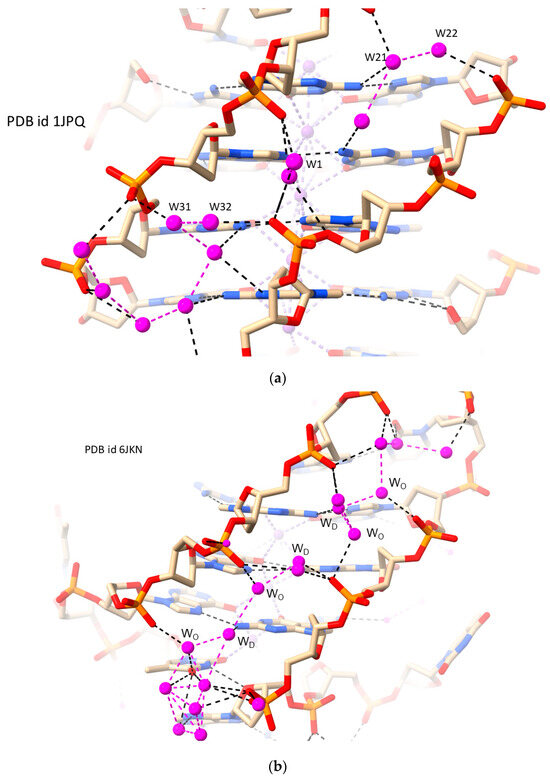On Water Arrangements in Right- and Left-Handed DNA Structures