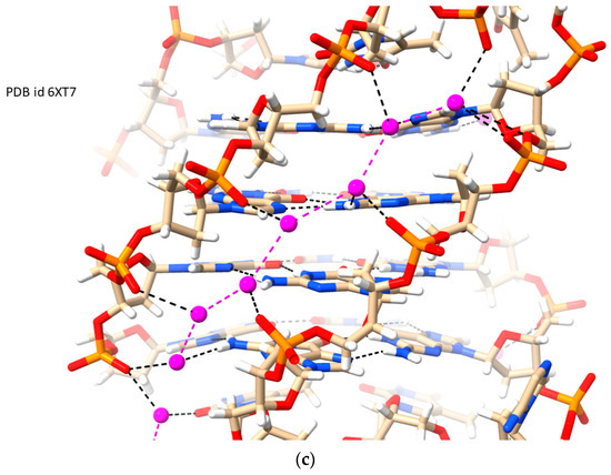On Water Arrangements in Right- and Left-Handed DNA Structures