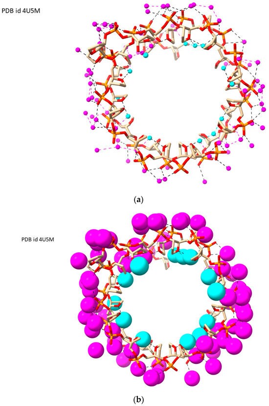 On Water Arrangements in Right- and Left-Handed DNA Structures