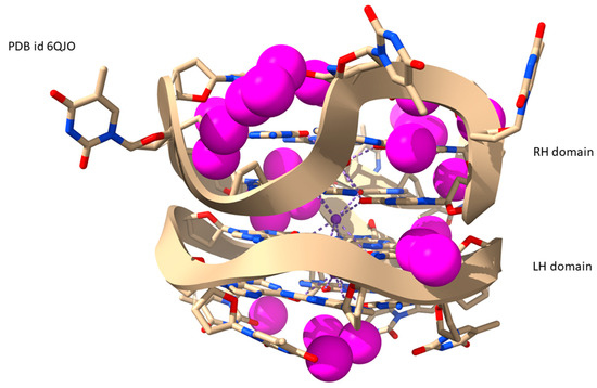 On Water Arrangements in Right- and Left-Handed DNA Structures