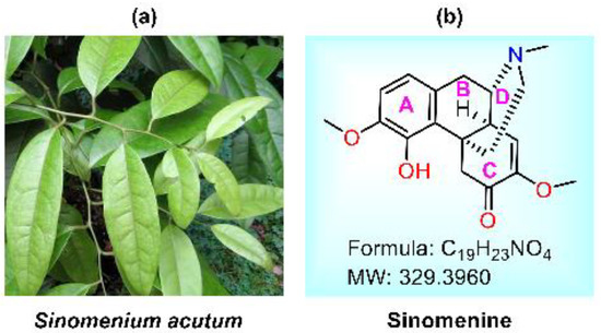 Bioactivities and Mechanisms of Action of Sinomenine and Its ...