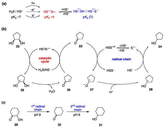 Radical Reactions in Organic Synthesis: Exploring in-, on-, and with ...