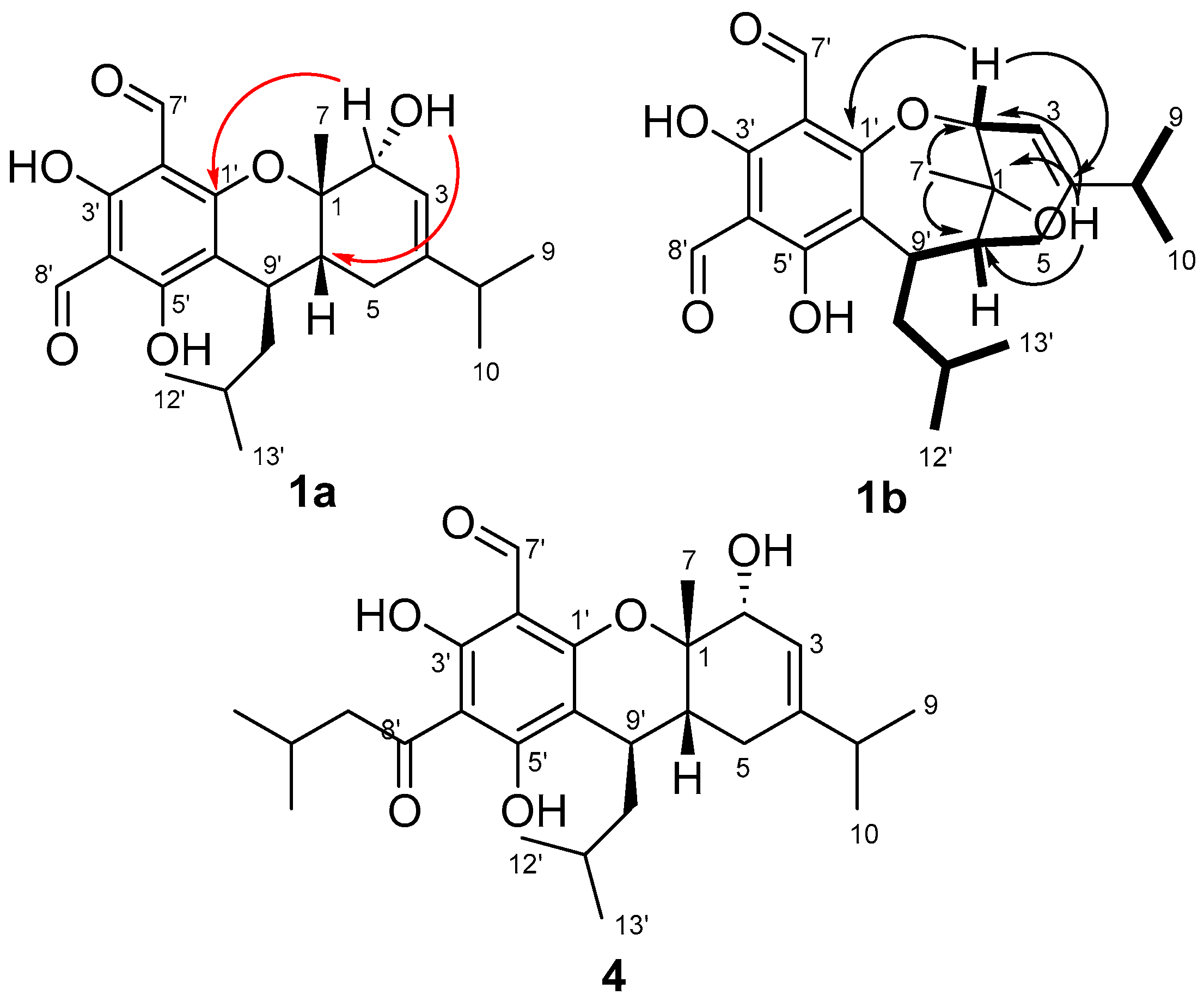 Structure Revision of Formyl Phloroglucinol Meroterpenoids: A Unified ...