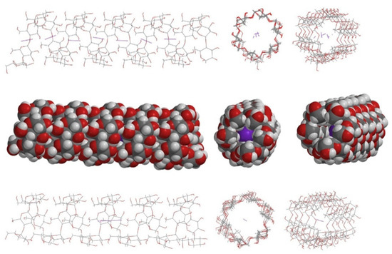 The Iodine/Iodide/Starch Supramolecular Complex